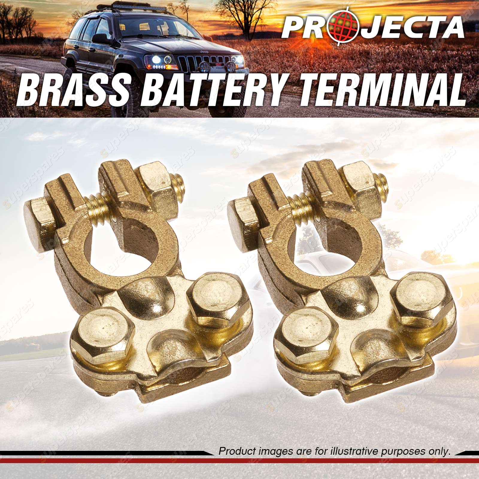 Projecta Brass Battery Terminal for Small Japanese Battery Posts Pos + Neg