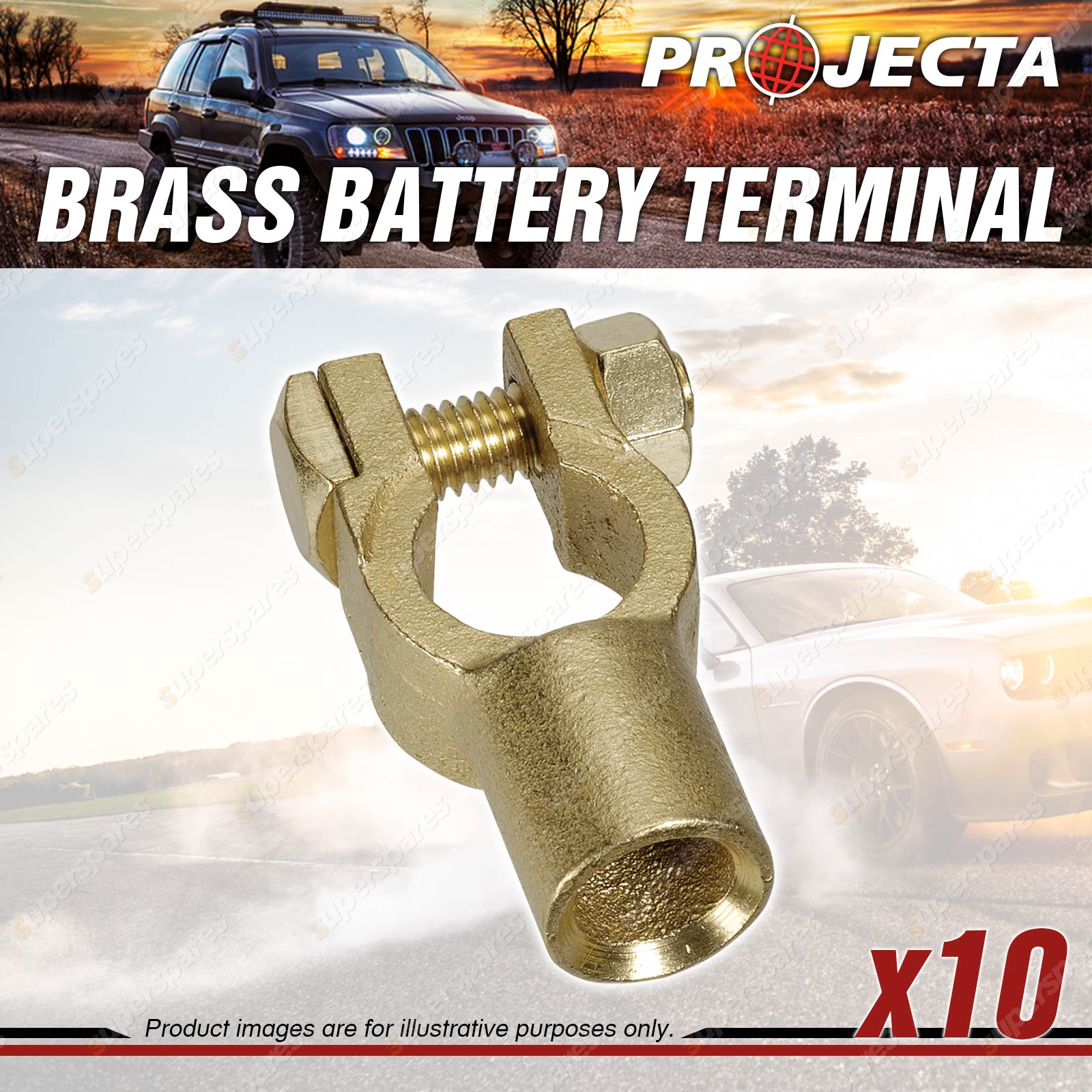 Projecta Brass Battery Terminal - Heavy Duty Crimp End Entry Box of 10 ...