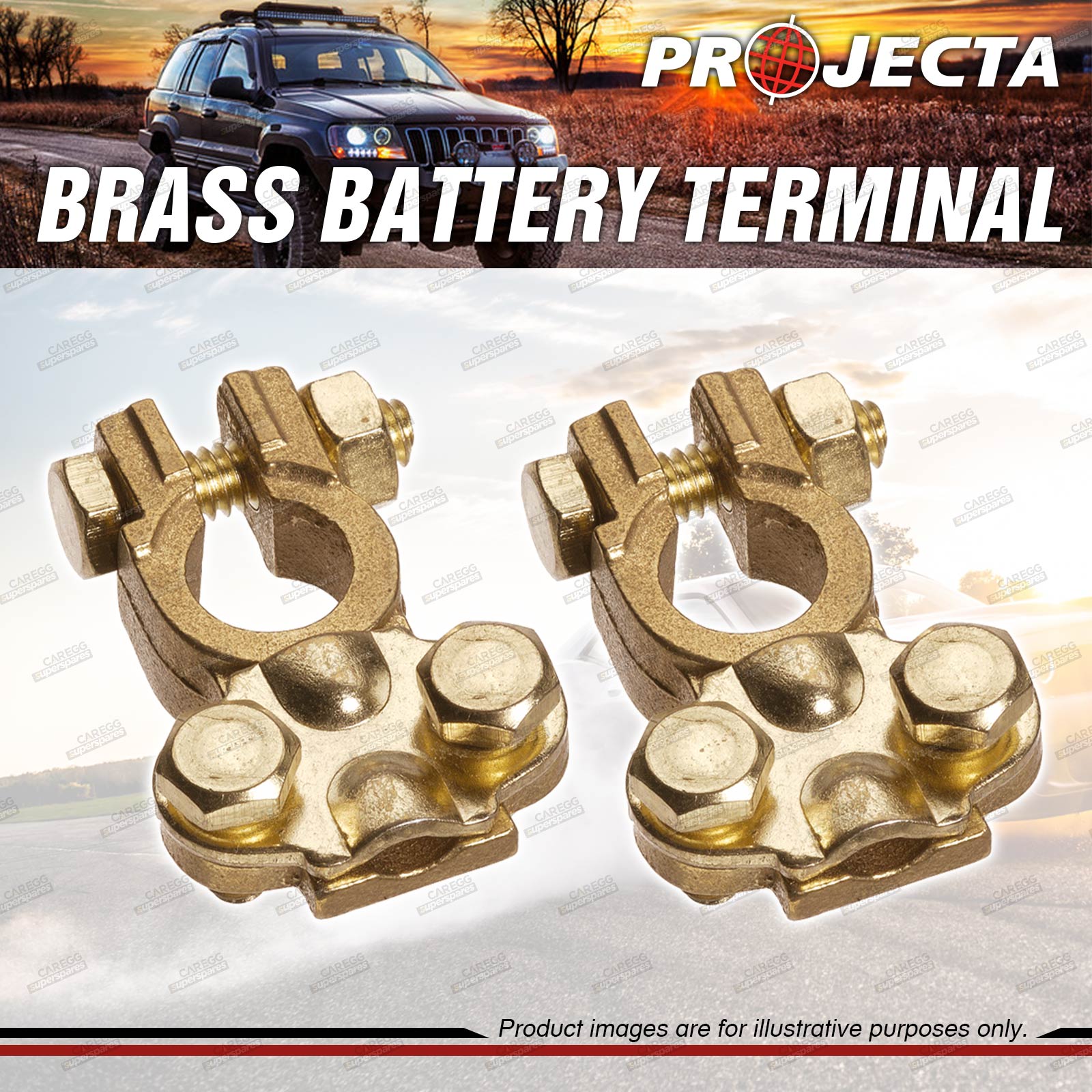 Projecta Brass Battery Terminal Positive + Negative for Small Japanese ...